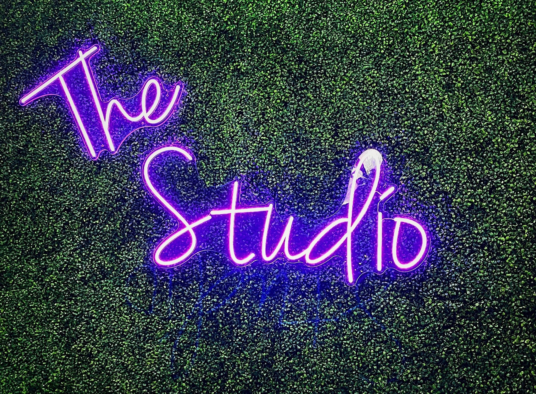Women's Clothing- The Studio Princeton IL